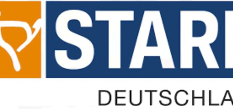 IT Consulting at STARK Germany