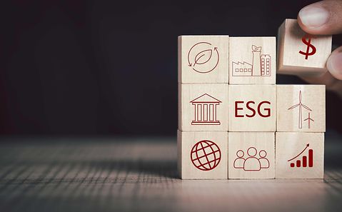 ESG for Companies: The Most Important Facts at a Glance