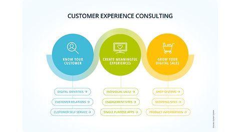 Customer Experience Consulting
