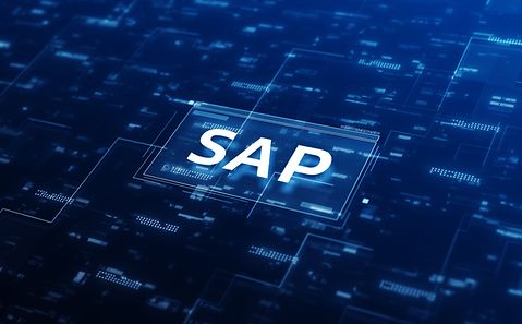 Securing business-critical SAP capability in a complex and risky cyber ...