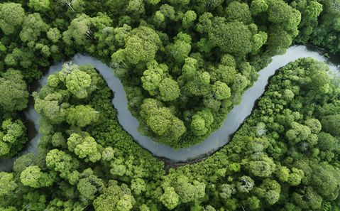 Microsoft 365 Evergreen approach | Always up to date